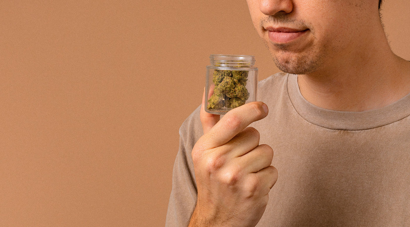 Why does cannabis smell so strong? Plus, 5 tips to cover smoke odor ...